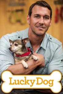 Lucky Dog: Season 7 | Rotten Tomatoes