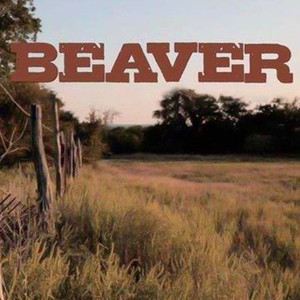 Beaver - Rotten Tomatoes