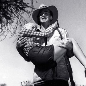 Safari - Rotten Tomatoes