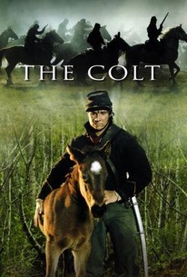 The Colt | Rotten Tomatoes