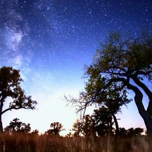 How the Universe Works: Season 4, Episode 5 - Rotten Tomatoes