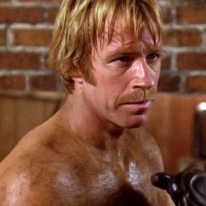 The Octagon - Rotten Tomatoes