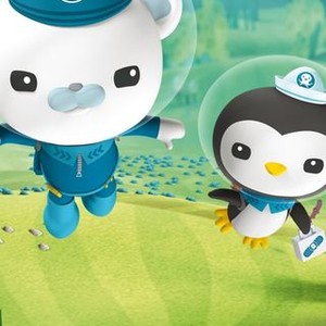 Octonauts: Above & Beyond - Rotten Tomatoes