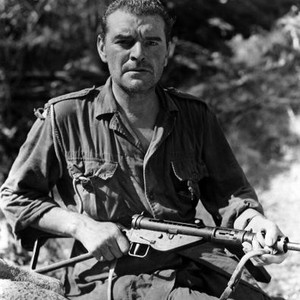 Jack Hawkins - Rotten Tomatoes