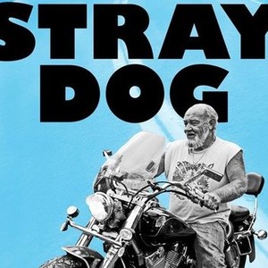 Stray Dog - Rotten Tomatoes