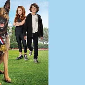 Max 2: White House Hero - Rotten Tomatoes