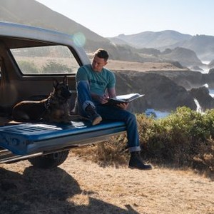 Dog - Rotten Tomatoes