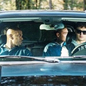 Flea - Rotten Tomatoes