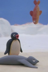 Pingu: Season 1, Episode 9 - Rotten Tomatoes