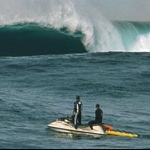 Step Into Liquid - Rotten Tomatoes