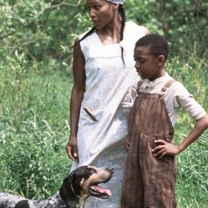 Sounder - Rotten Tomatoes