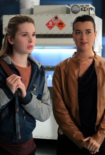 NCIS: Season 10, Episode 8 | Rotten Tomatoes