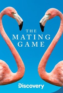 The Mating Game: Season 1 | Rotten Tomatoes