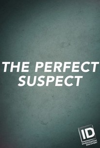 The Perfect Suspect | Rotten Tomatoes
