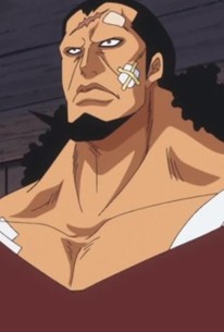 One Piece: Season 17, Episode 114 | Rotten Tomatoes
