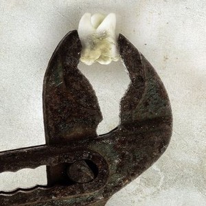 Vile - Rotten Tomatoes