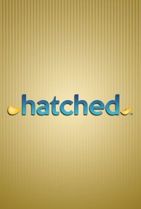 Hatched: Season 2 | Rotten Tomatoes
