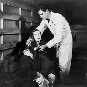 Rod Cameron - Rotten Tomatoes