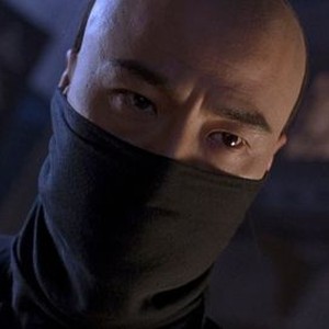 Iron Monkey - Rotten Tomatoes