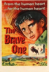 The Brave One - Rotten Tomatoes
