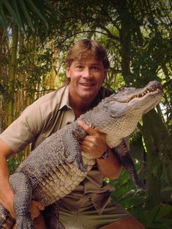 steve irwin