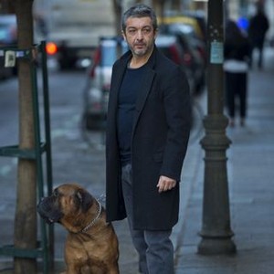 Truman - Rotten Tomatoes