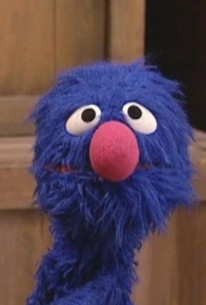 Sesame Street: Season 37, Episode 22 - Rotten Tomatoes