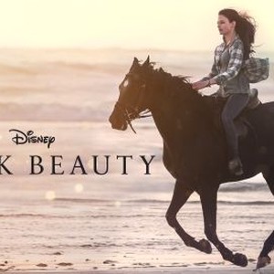 Black Beauty - Rotten Tomatoes