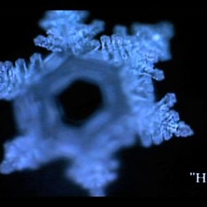 Secret of Water - Rotten Tomatoes