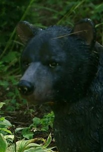 Project Grizzly: Season 1, Episode 1 | Rotten Tomatoes