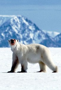 The Blue Planet: Season 1, Episode 4 | Rotten Tomatoes