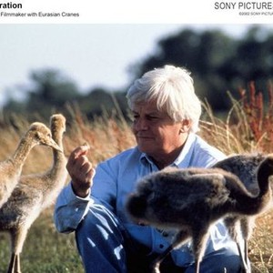 Winged Migration - Rotten Tomatoes