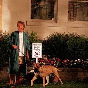 See Spot Run - Rotten Tomatoes