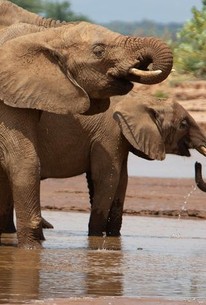 Chasing the Rains: Season 1, Episode 1 | Rotten Tomatoes