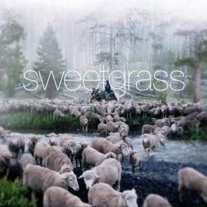 Sweetgrass - Rotten Tomatoes