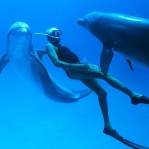 Dolphin Man - Rotten Tomatoes
