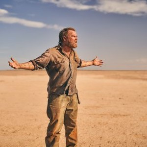 Gold - Rotten Tomatoes