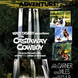 The Castaway Cowboy - Rotten Tomatoes