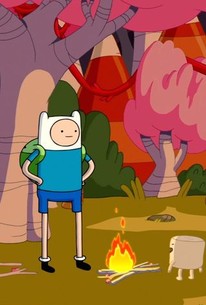 Adventure Time: Season 7, Episode 22 - Rotten Tomatoes
