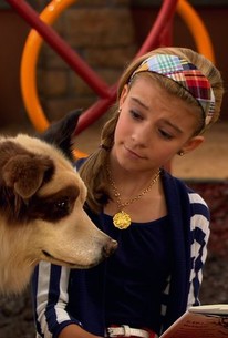 Dog With a Blog: Season 1, Episode 3 | Rotten Tomatoes