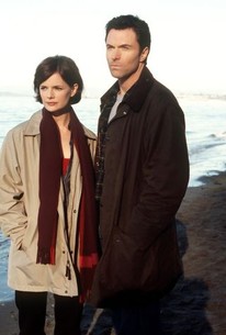 The Fugitive: Season 1, Episode 15 | Rotten Tomatoes