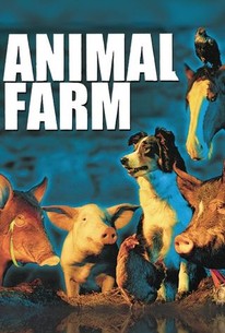 Animal Farm Rotten Tomatoes Animal Farm Rotten Tomatoes