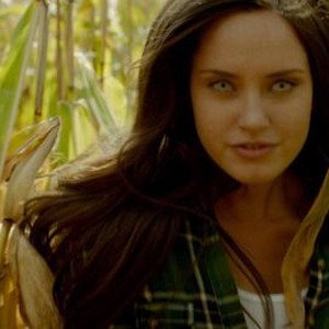 Wolves - Rotten Tomatoes