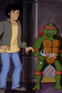 Teenage Mutant Ninja Turtles: Season 9, Episode 1 | Rotten Tomatoes