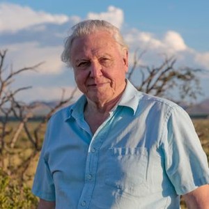 David Attenborough - Rotten Tomatoes