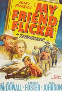 My Friend Flicka | Rotten Tomatoes