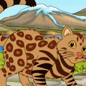 Go, Diego, Go!: Season 4, Episode 16 - Rotten Tomatoes