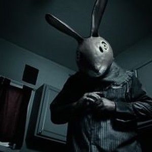 Beloved Beast - Rotten Tomatoes