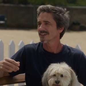 Tosh.0: Season 6, Episode 19 - Rotten Tomatoes