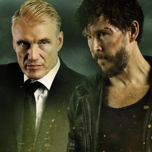 Section 8 - Rotten Tomatoes